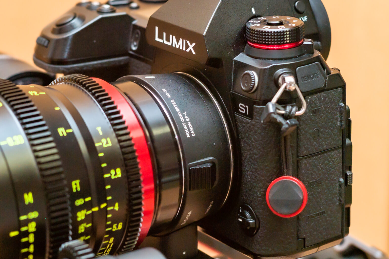 LUMIX DC-S1 写真も動画も万能な1台を紹介。レビューから作例まで。 - さくらっちブログ